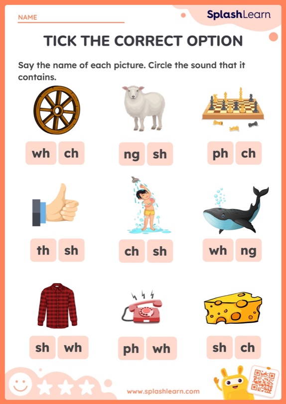 Tick The Correct Option Worksheet Tick The Correct Option Worksheet